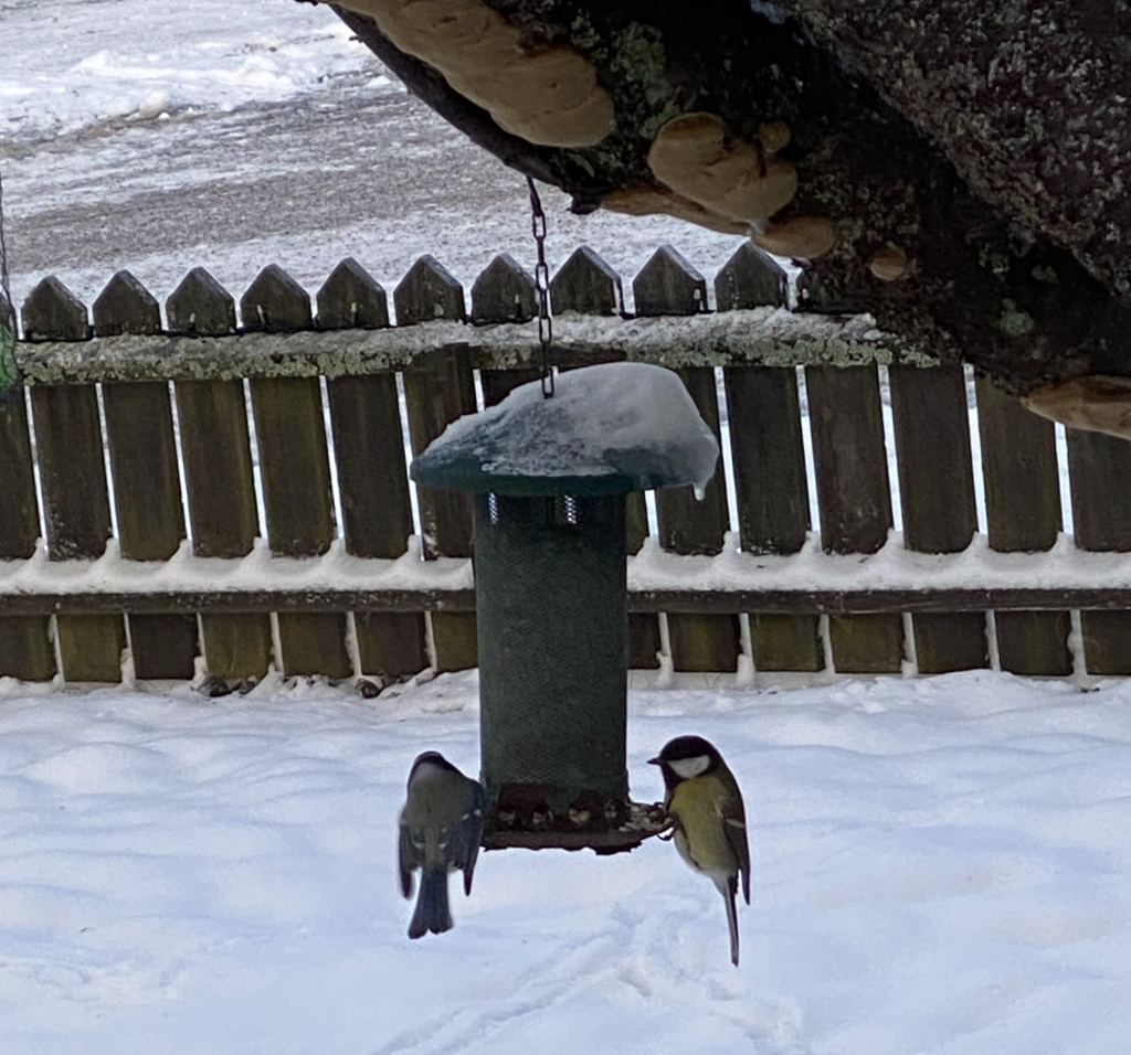 ONL192 Topic 4: Design for online and blended learning – Open Networked Learning