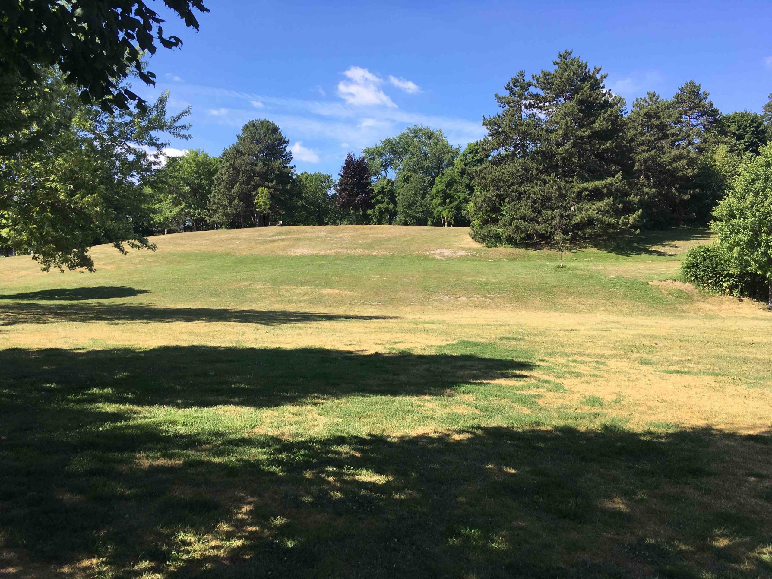 To stay in the open – content, context, and connections – Open Networked Learning